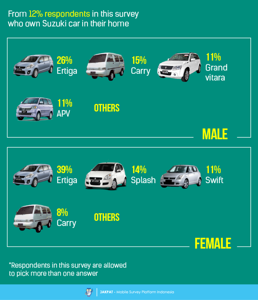 Drive and Enjoy the Ride: Profile of the Car User - Survey Report ...